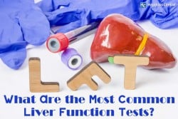 An In Depth Look at Liver Function Tests | Hepatitis Central